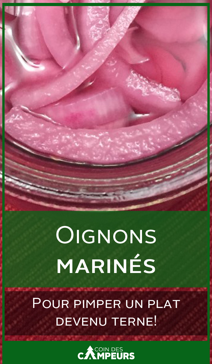 Oignons marinés - Coin des campeurs